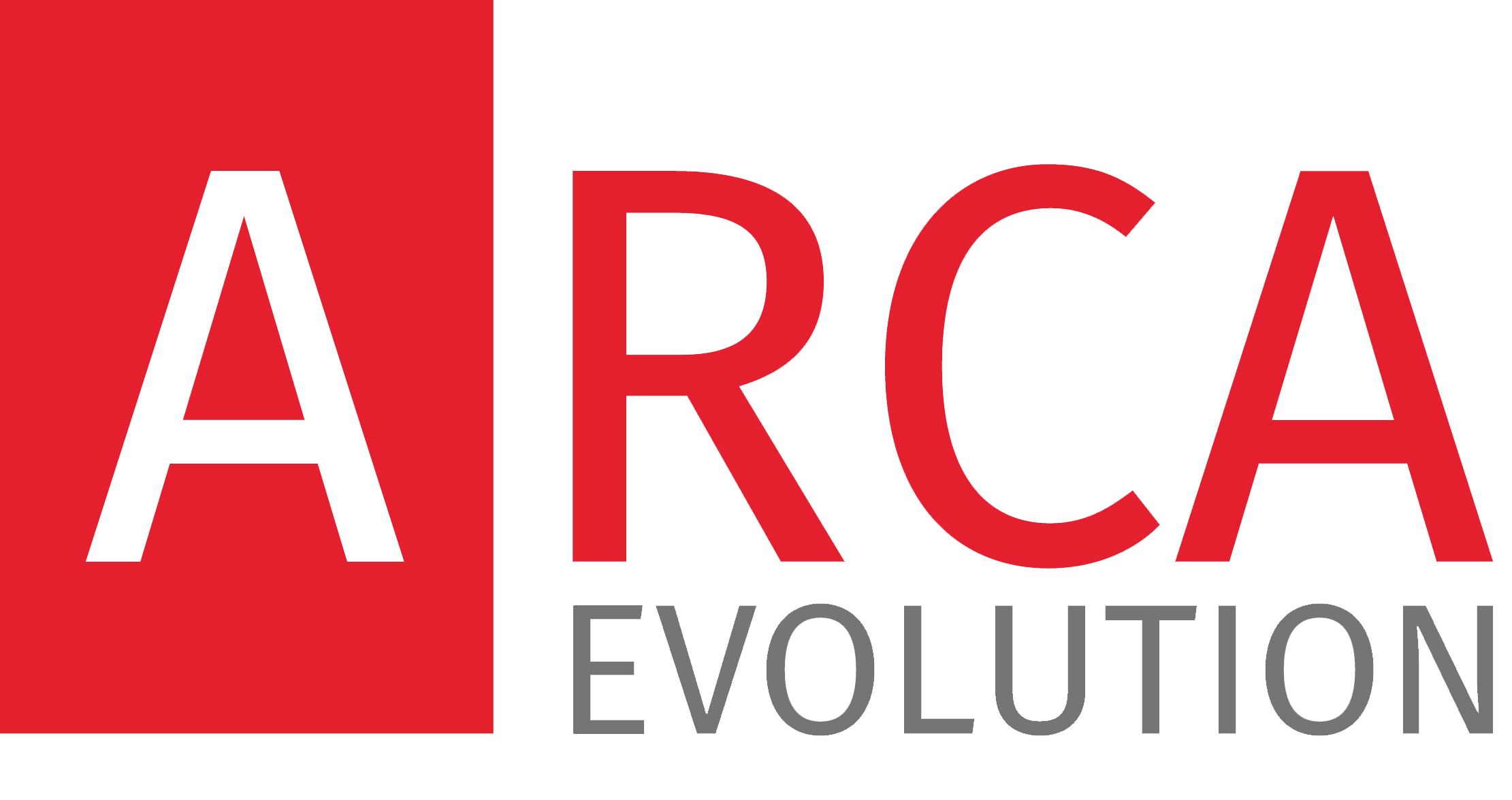 Arca Evolution: recensione software gestionale - Accurate Reviews
