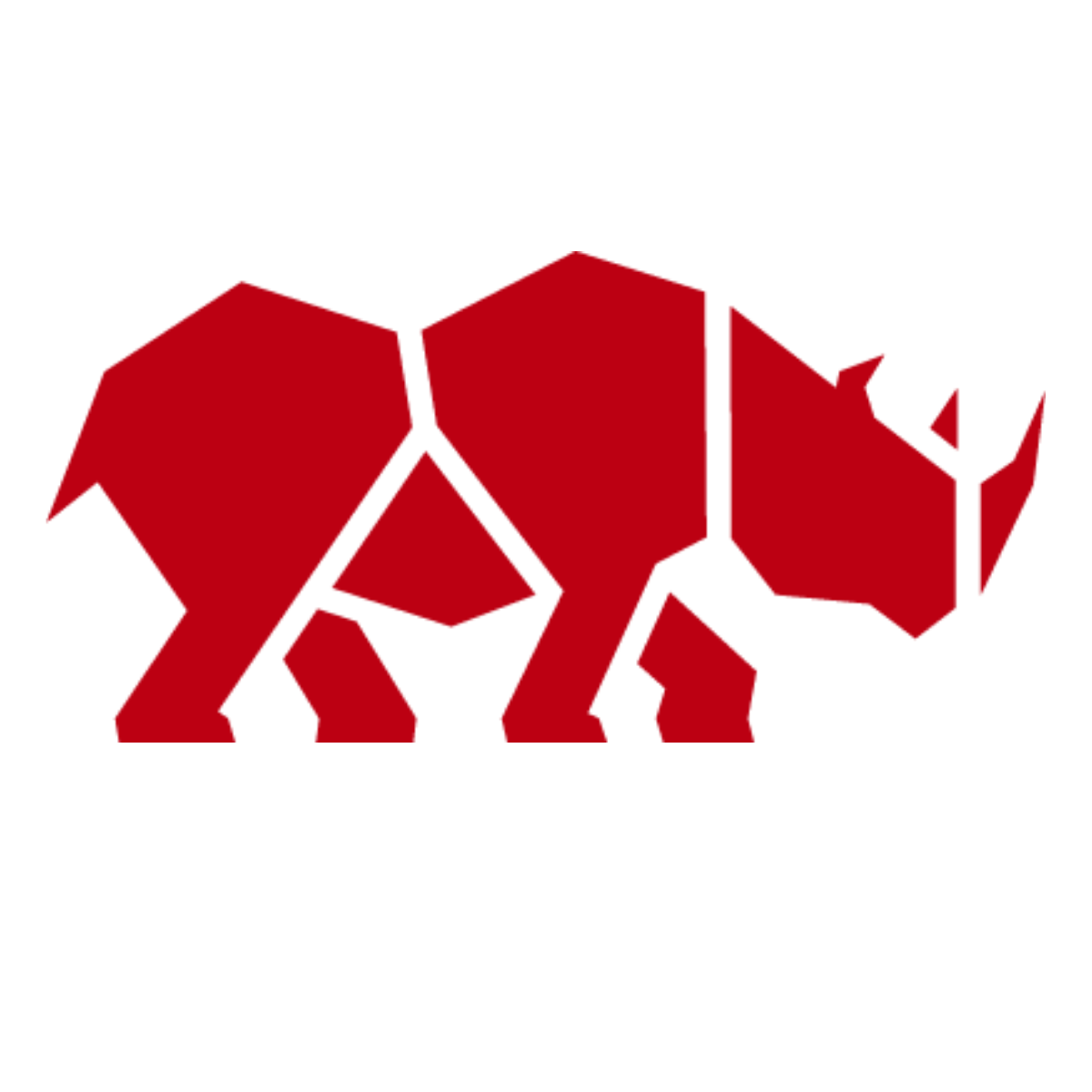 RhinoFit: recensione software gestionale per palestre - Accurate Reviews