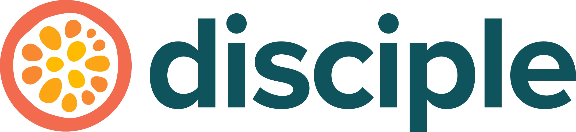 Disciple: recensione gestionale per associazioni - Accurate Reviews