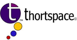 Thortspace: mind mapping program review - Accurate Reviews